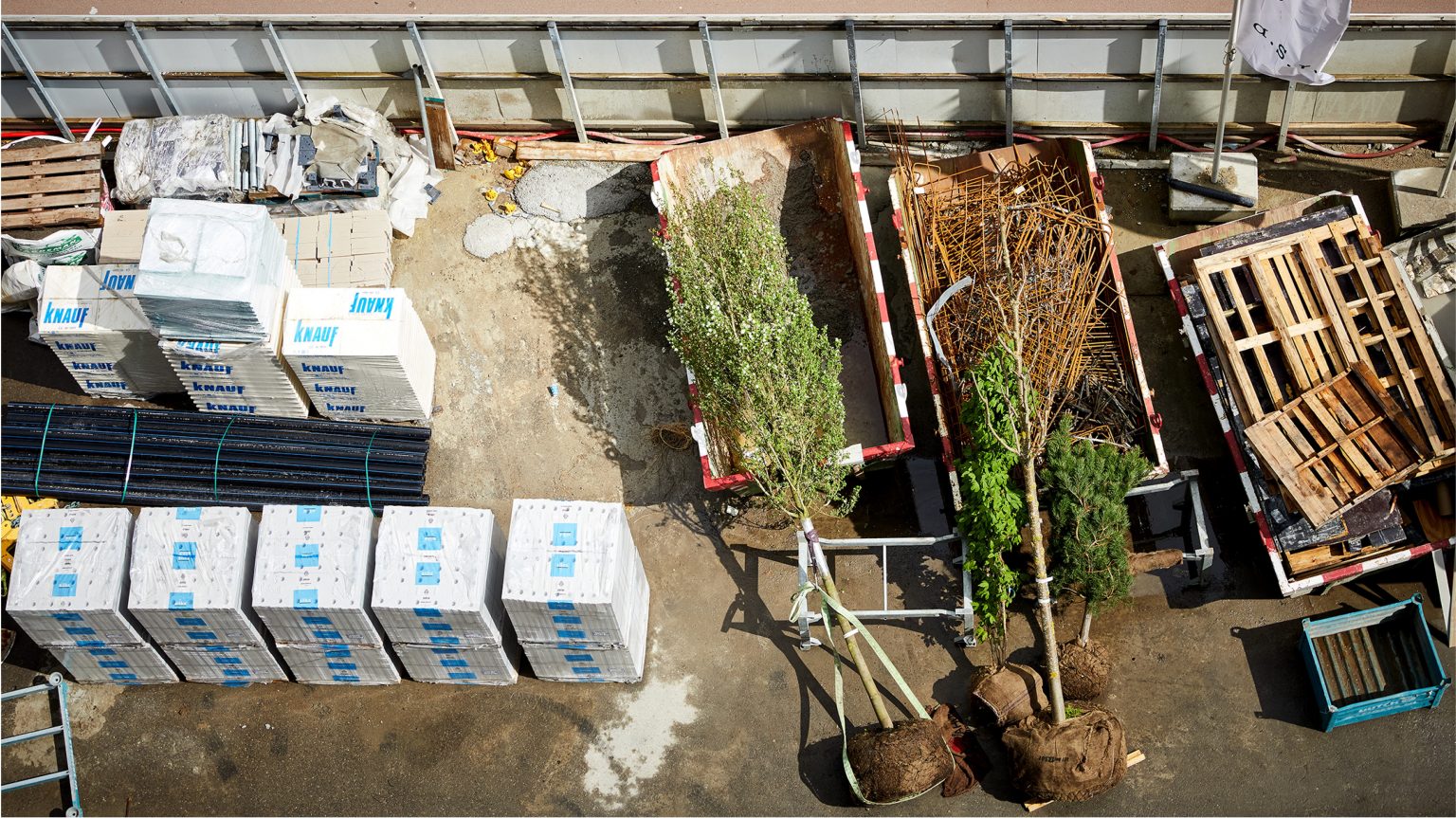 wonderwoods | first tree planted | Stefano Boeri Architetti